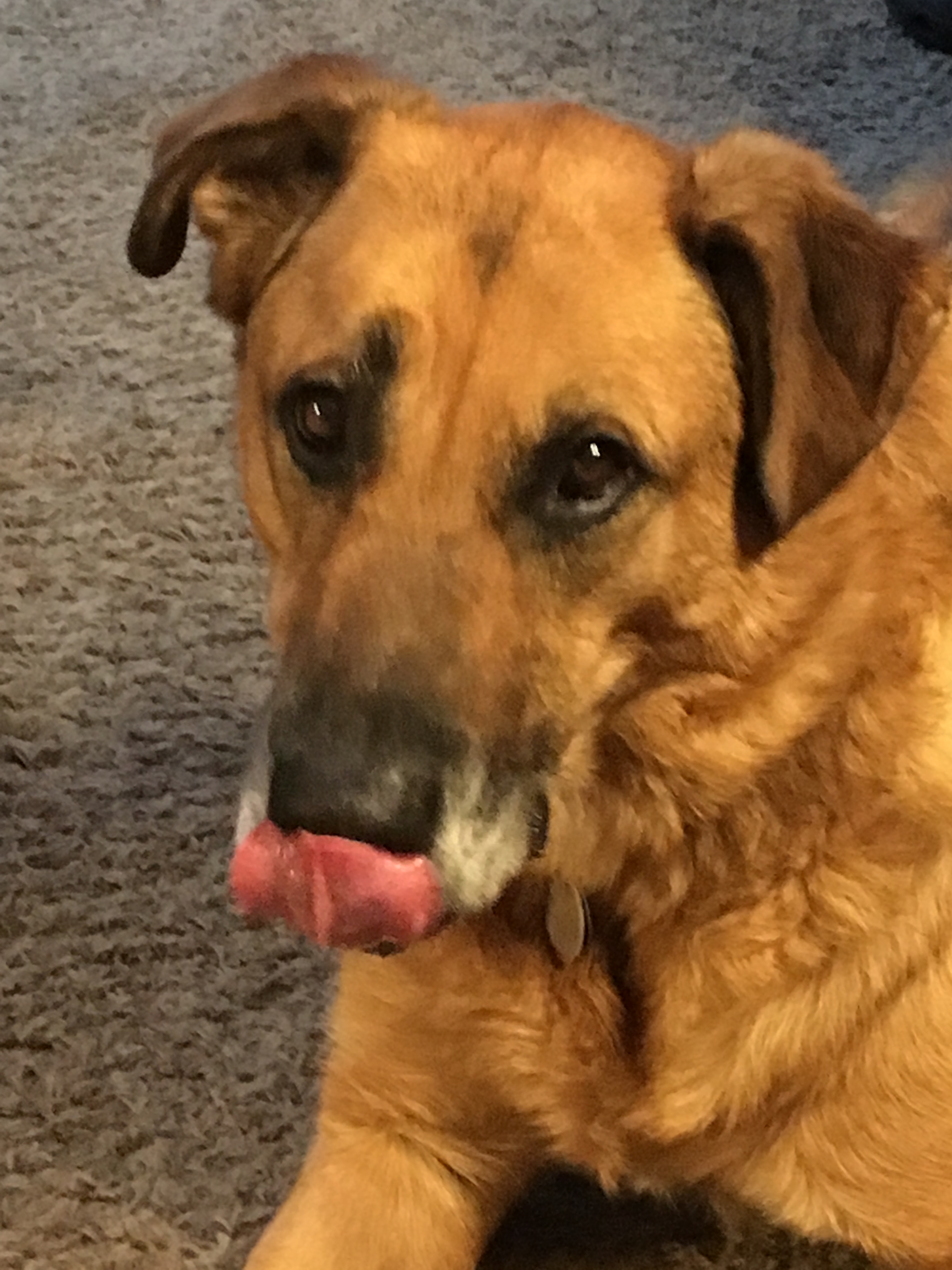 The Mascot – Michele Across America